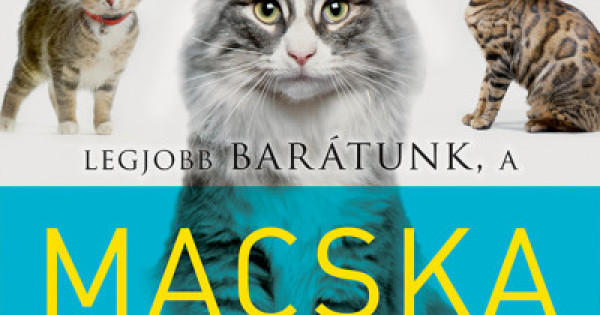 Legjobb barátunk, a macska